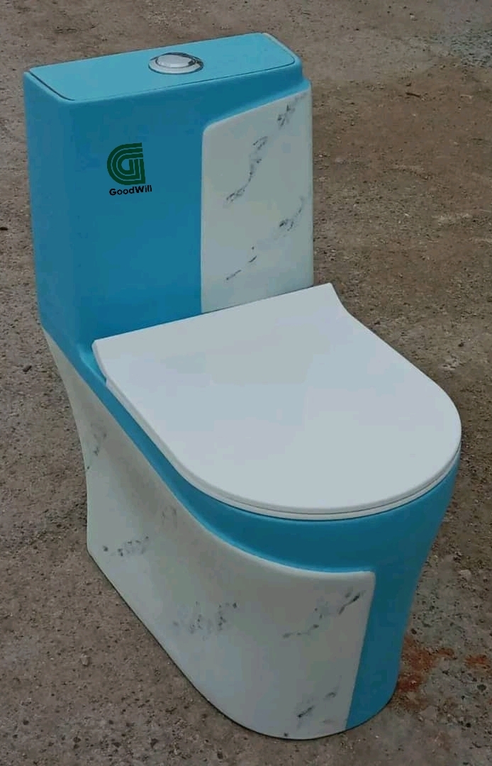 GOODWILL CERAMIC COMPANY – Goodwill Ceramics Ltd