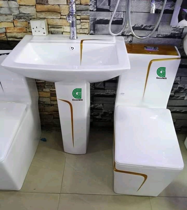 GOODWILL CERAMIC COMPANY – Goodwill Ceramics Ltd